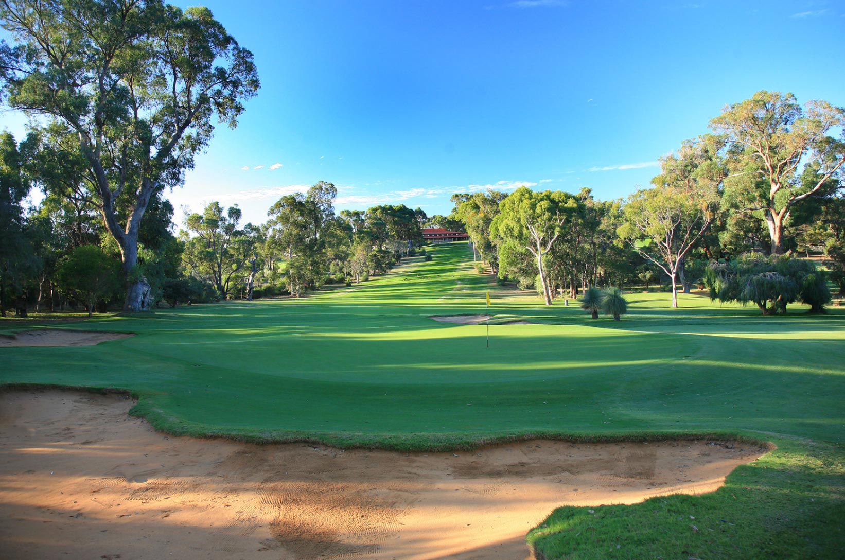 World Super 6 Perth preview: Mix and match - Australian Golf Digest