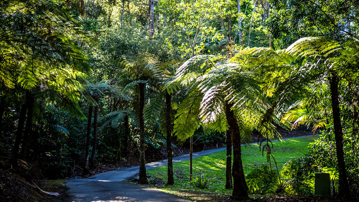 Course Review: Bonville Golf Resort – Australian Golf Digest