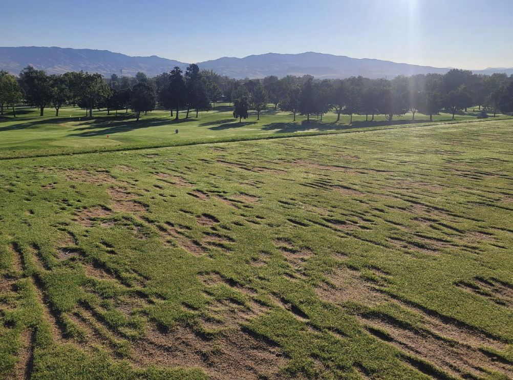 This viral photo of a driving range ravaged by tour pros during a Korn ...